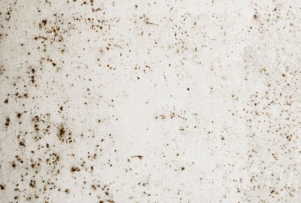 How to Remove White Spots from Paving Slabs | Stone Store