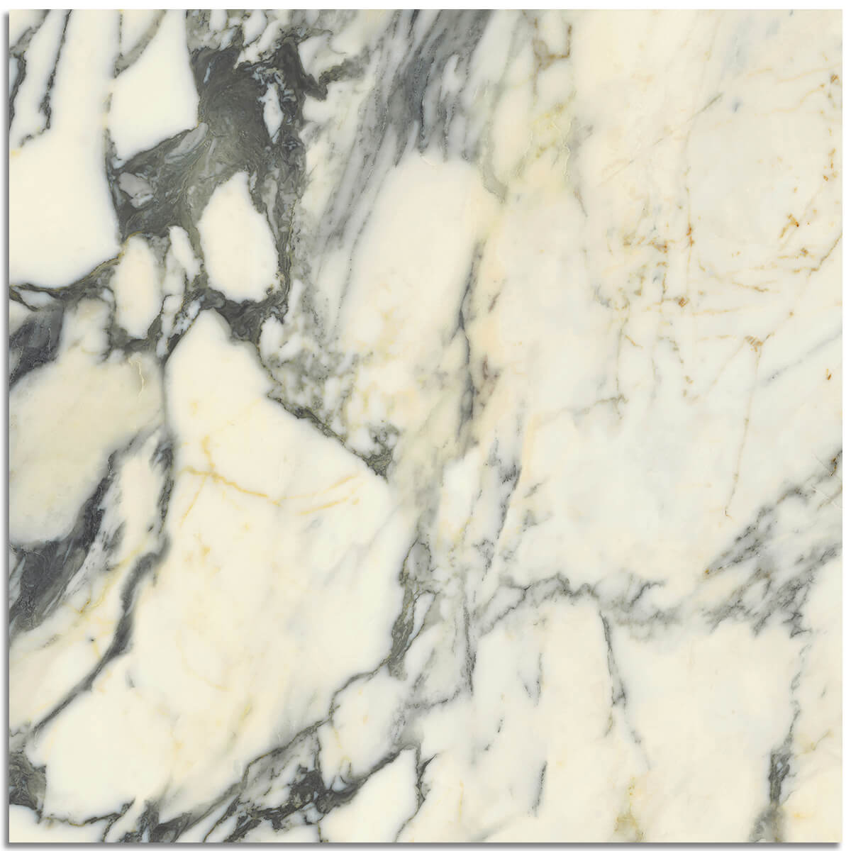 Sofia White Matte Marble Effect Porcelain Tiles | StoneSuperstore