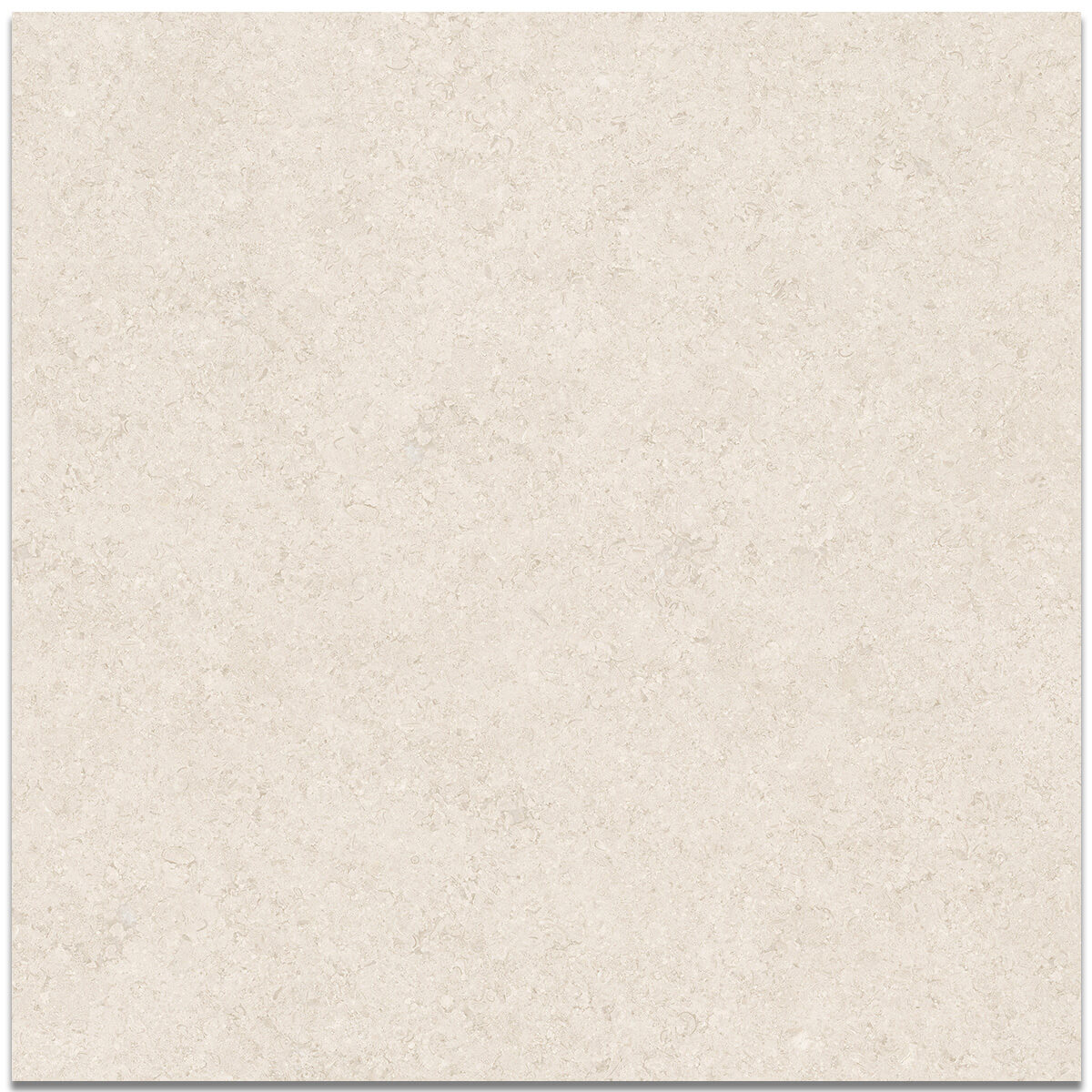 Roman Beige Outdoor Porcelain Paving Slabs 60x60cm | StoneSuperstore